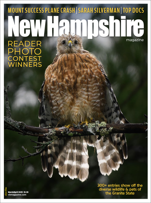 New Hampshire Magazine March-April 2025 – Yankee Publishing | New ...
